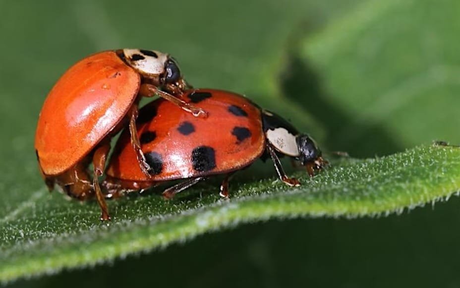 All Events | Hyper Effects